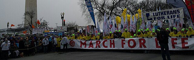 An Innovative Approach to the Right to Life - IHE